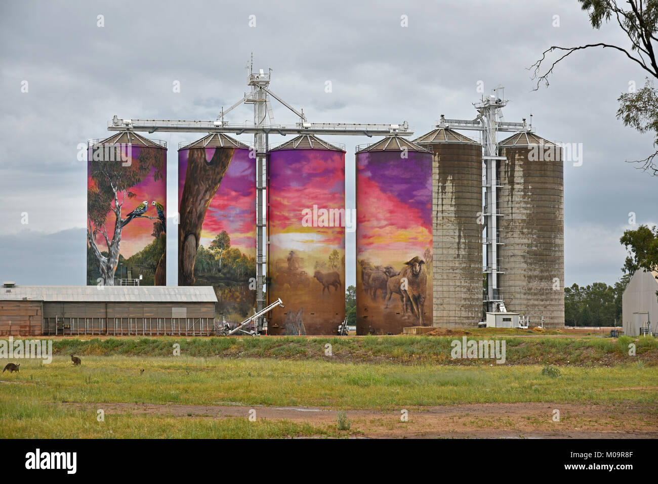 the silos at Thallon in queensland, Australia that have had murals ...