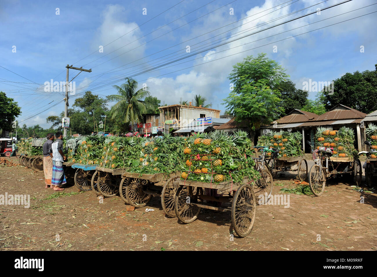 Madhupura hi-res stock photography and images - Alamy