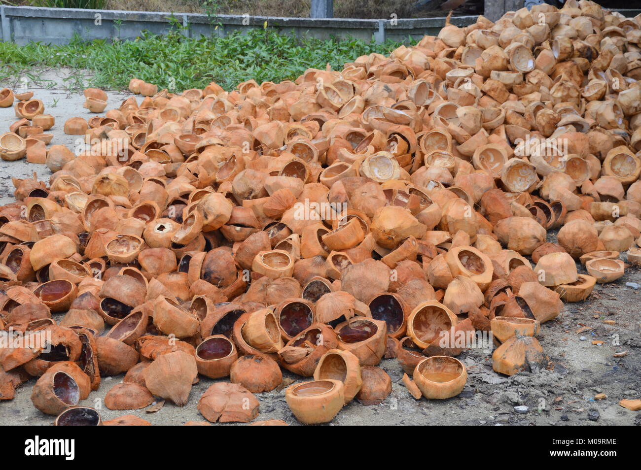 Food waste supply chain hi-res stock photography and images - Alamy