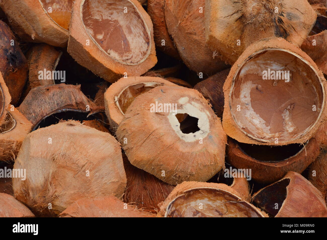 Coir Factory Stock Photos & Coir Factory Stock Images - Alamy