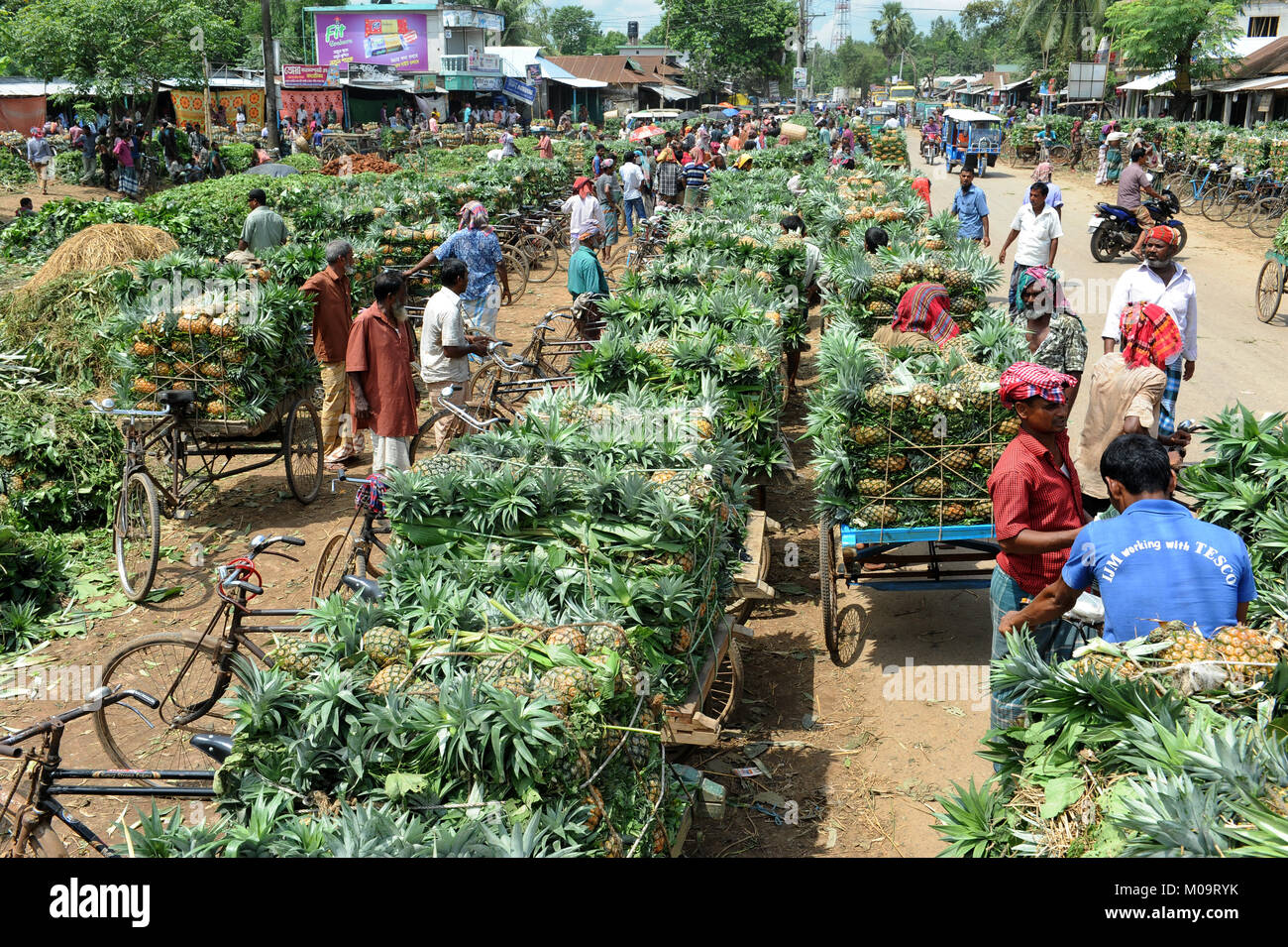Bangladesh tangail hi-res stock photography and images - Alamy