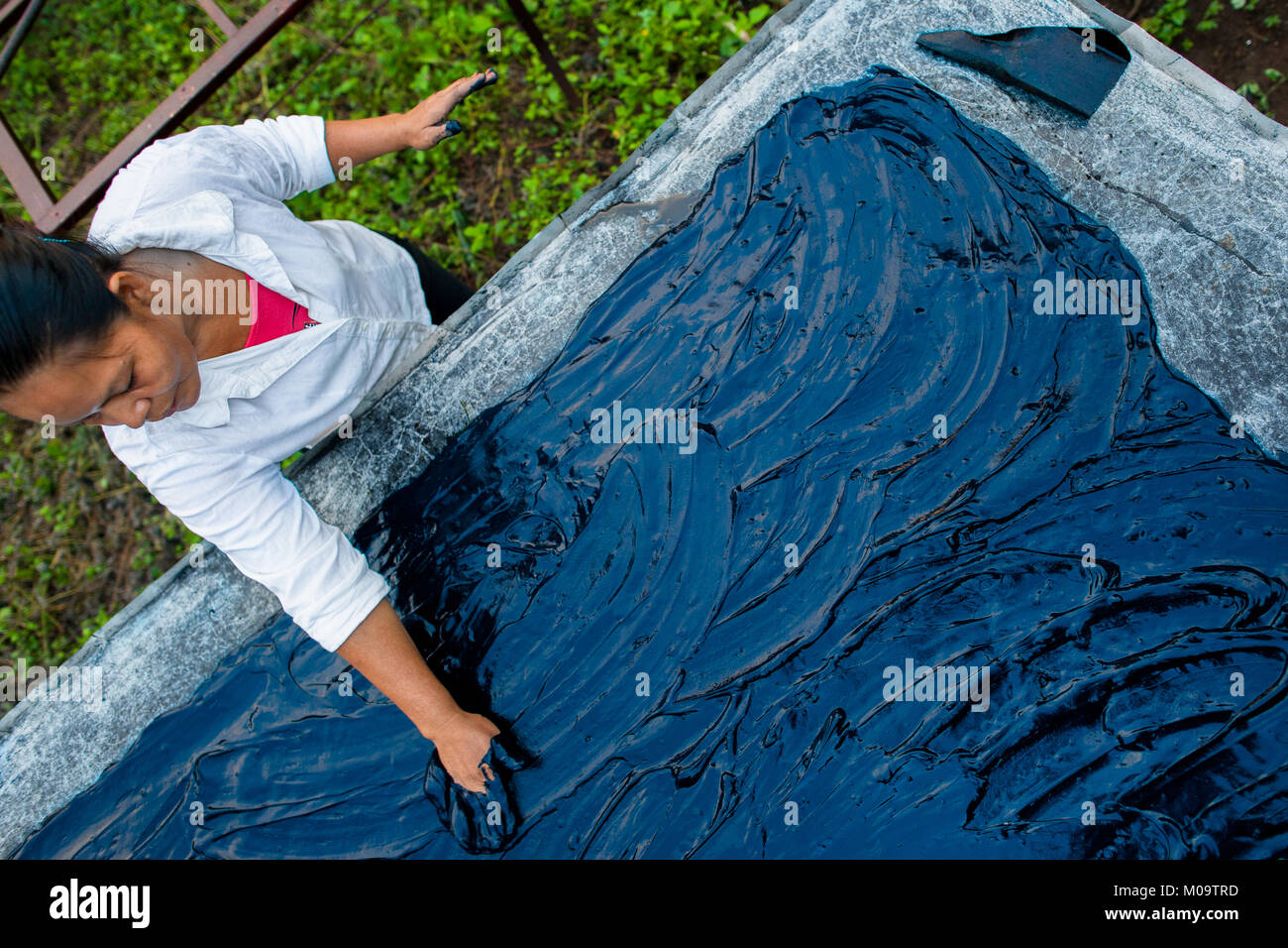 A Salvadoran farm worker spreads out the indigo paste onto a metal ...