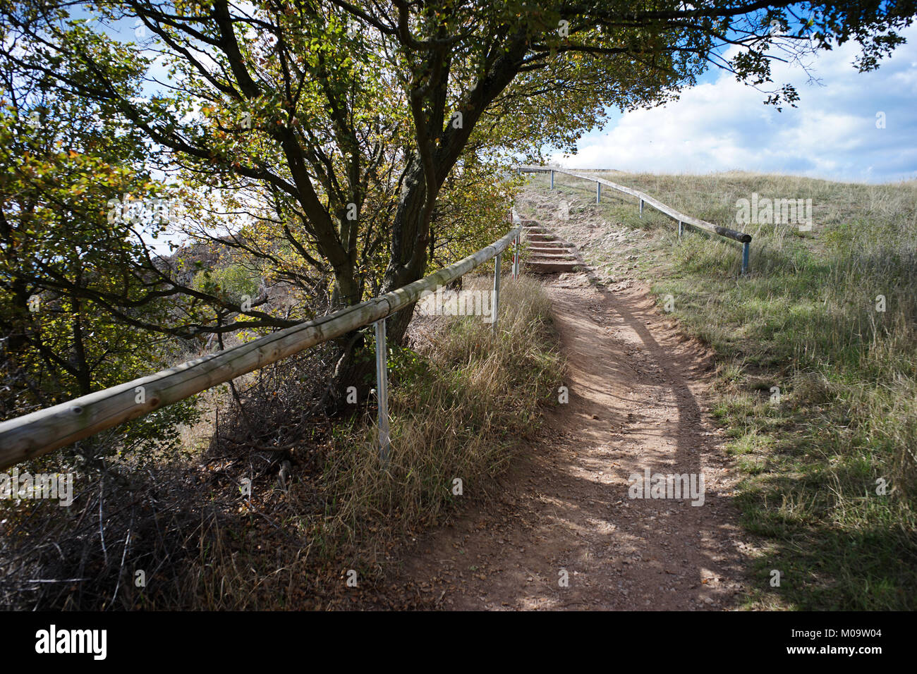 Hiking trails in the late afternoon in good walking weather Stock Photo ...