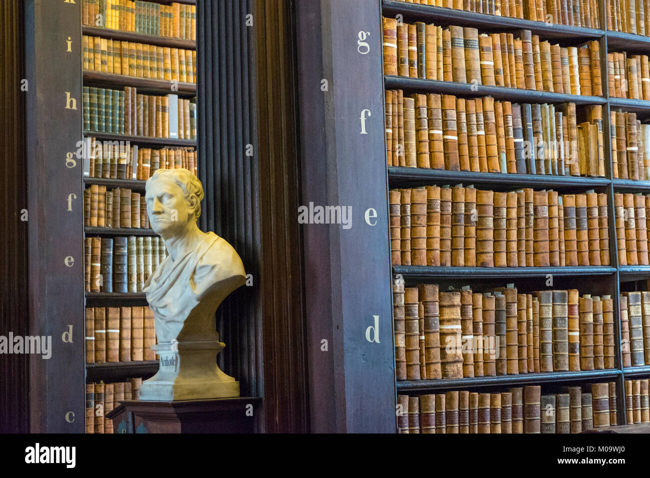 Long Room, Trinity College, Dublin, County Dublin, Ireland Stock Photo ...