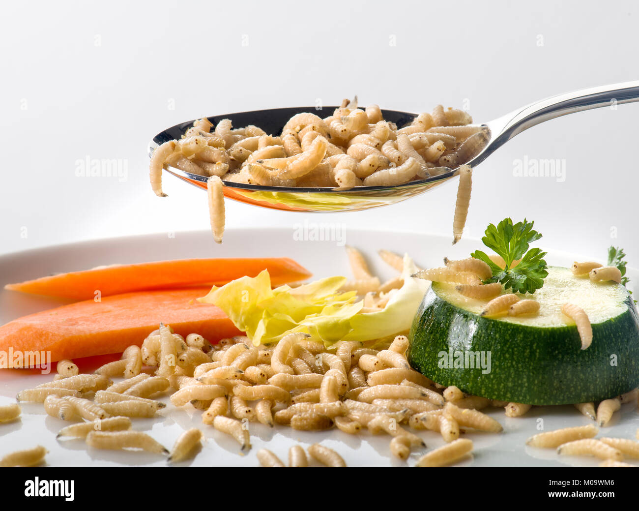 Human eating insects hi-res stock photography and images - Alamy