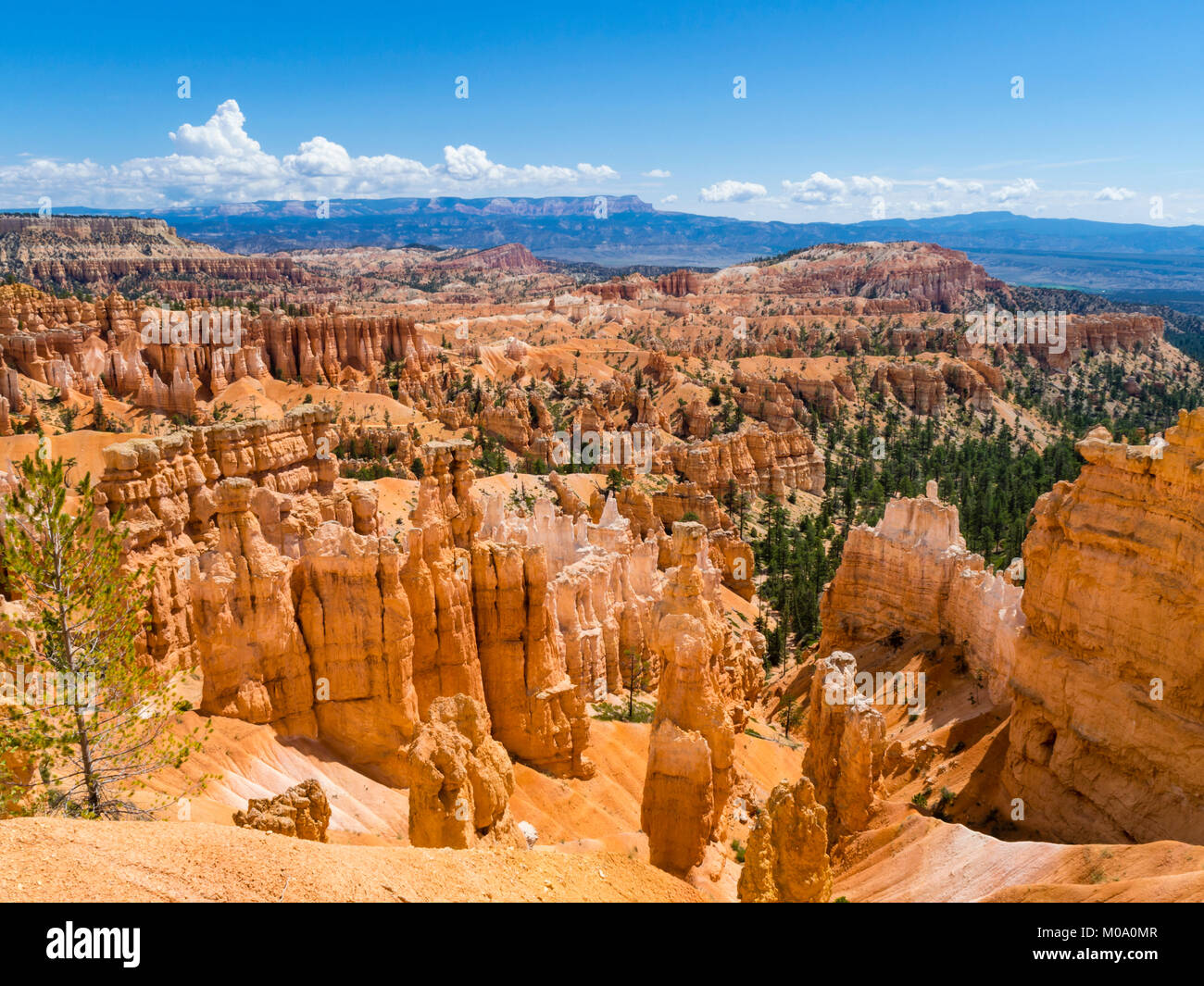 Bryce canyon national park hi-res stock photography and images - Alamy