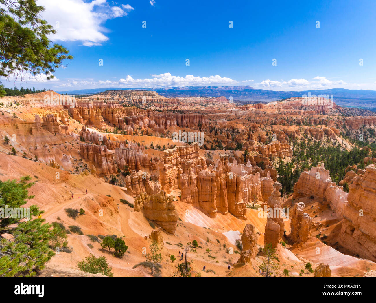 Hoodoo rock formations at Bryce Canyon National Park, Utah (USA Stock ...