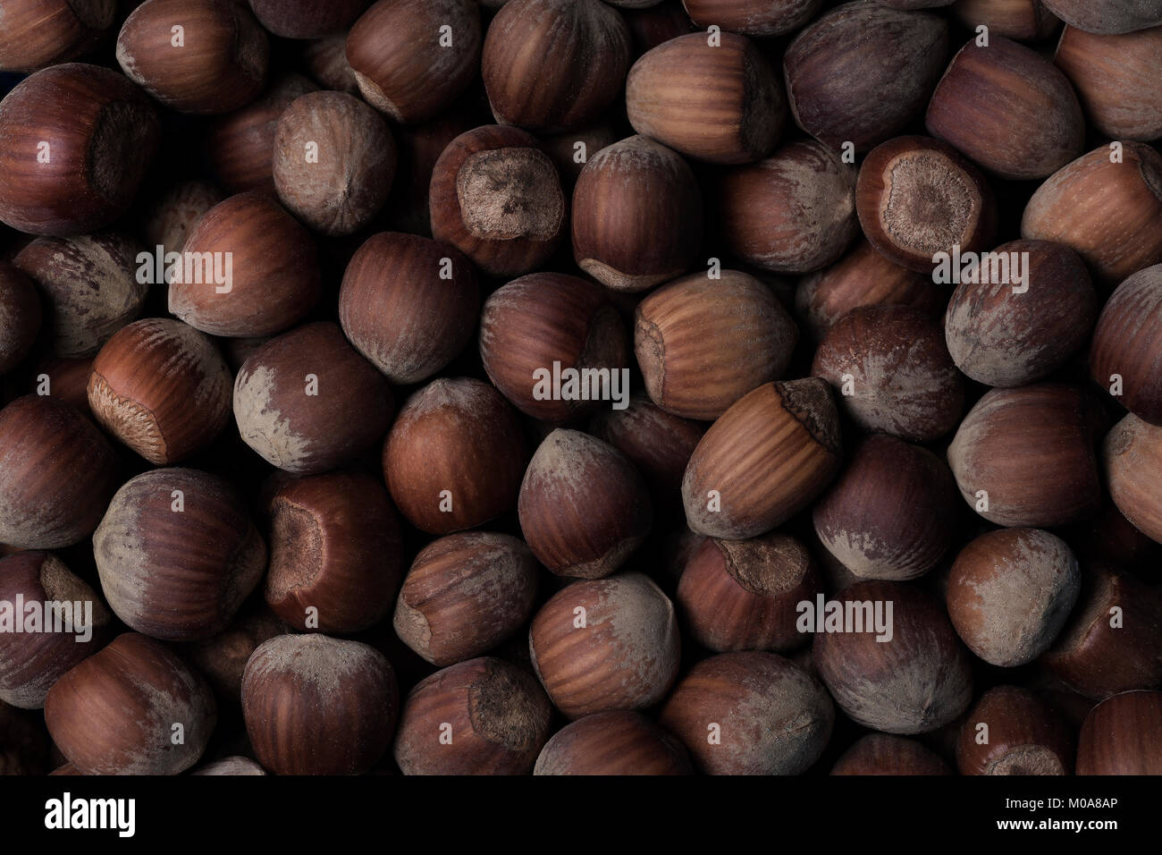 A detailed background of hazelnuts Stock Photo - Alamy