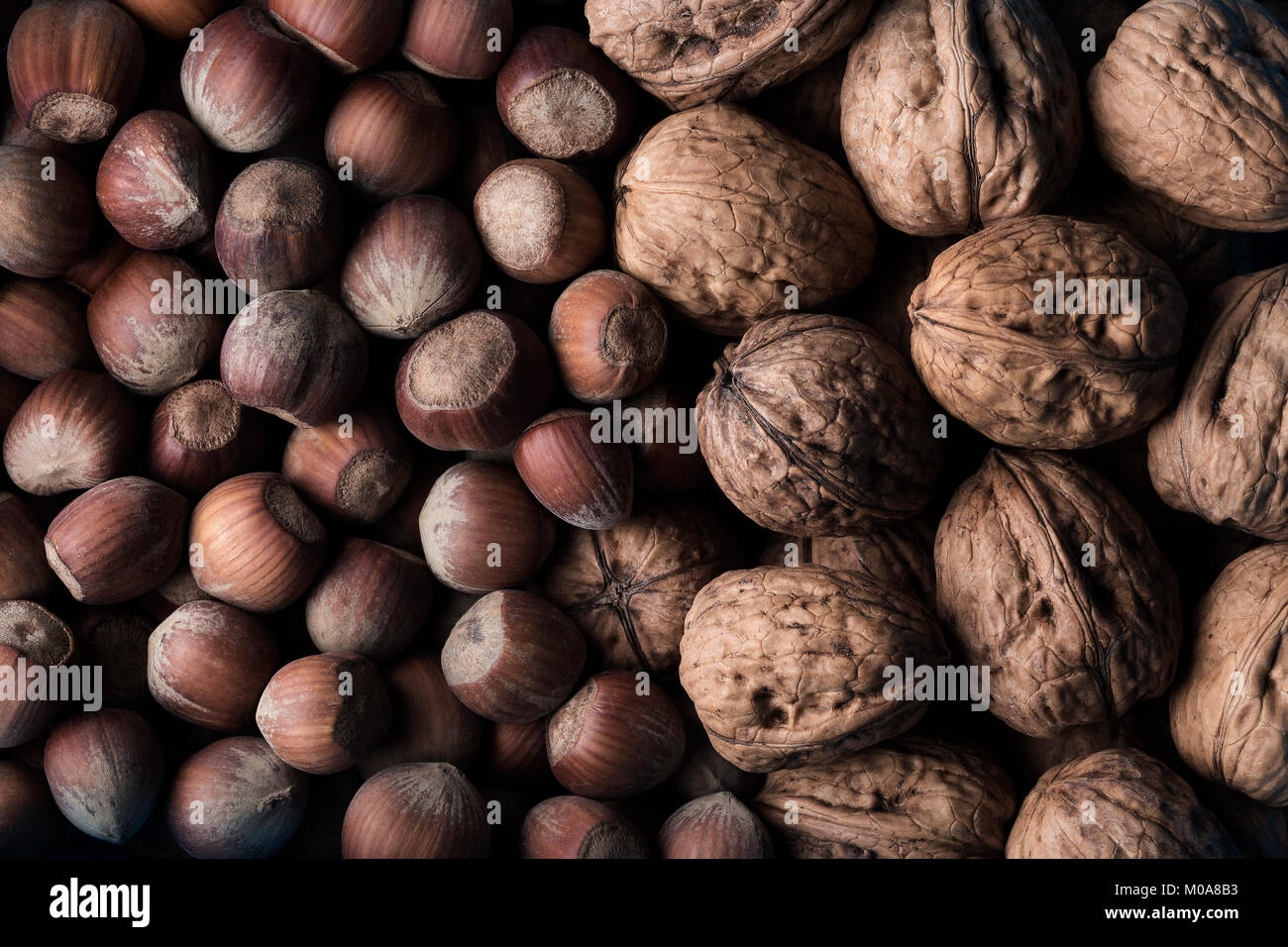 A detailed background of hazelnuts and walnuts Stock Photo - Alamy