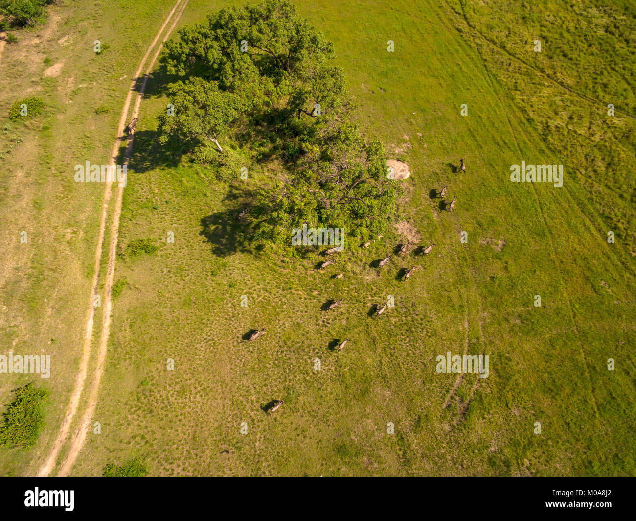 An aerial view of Haka Park in Harare, Zimbabwe Stock Photo - Alamy