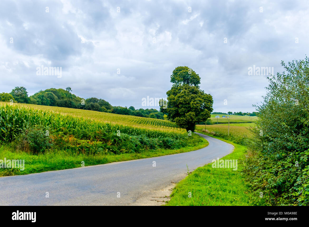 Country lane in the Orne countryside on an overcast day, Normandy ...