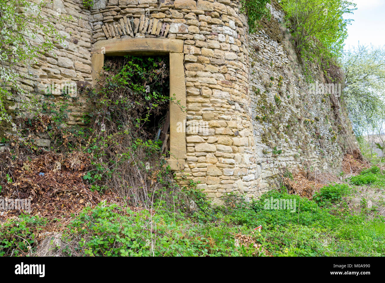 Weed over grown castle door as in the fairy tale Stock Photo - Alamy