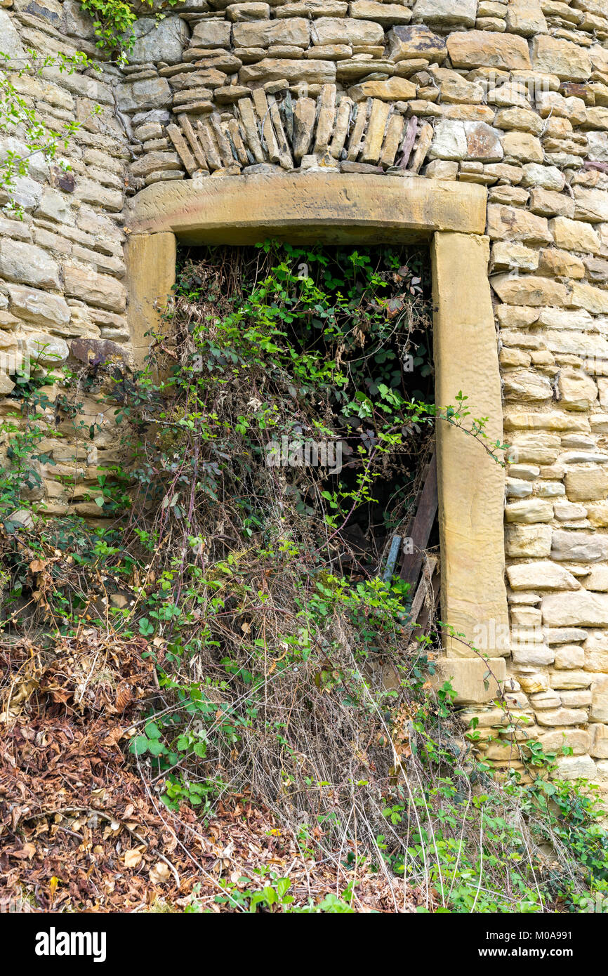 Weed over grown castle door as in the fairy tale Stock Photo - Alamy