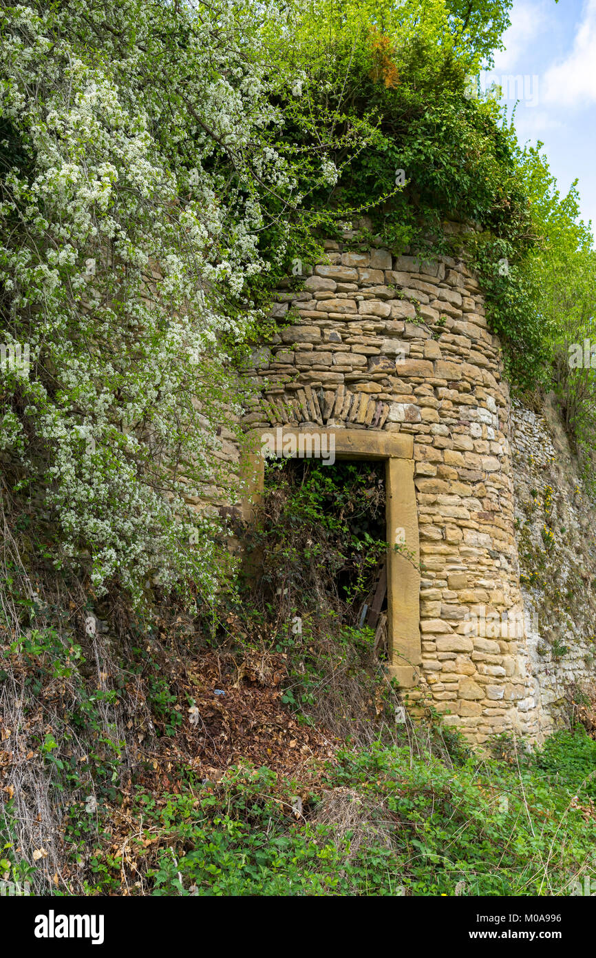 Weed over grown castle door as in the fairy tale Stock Photo - Alamy