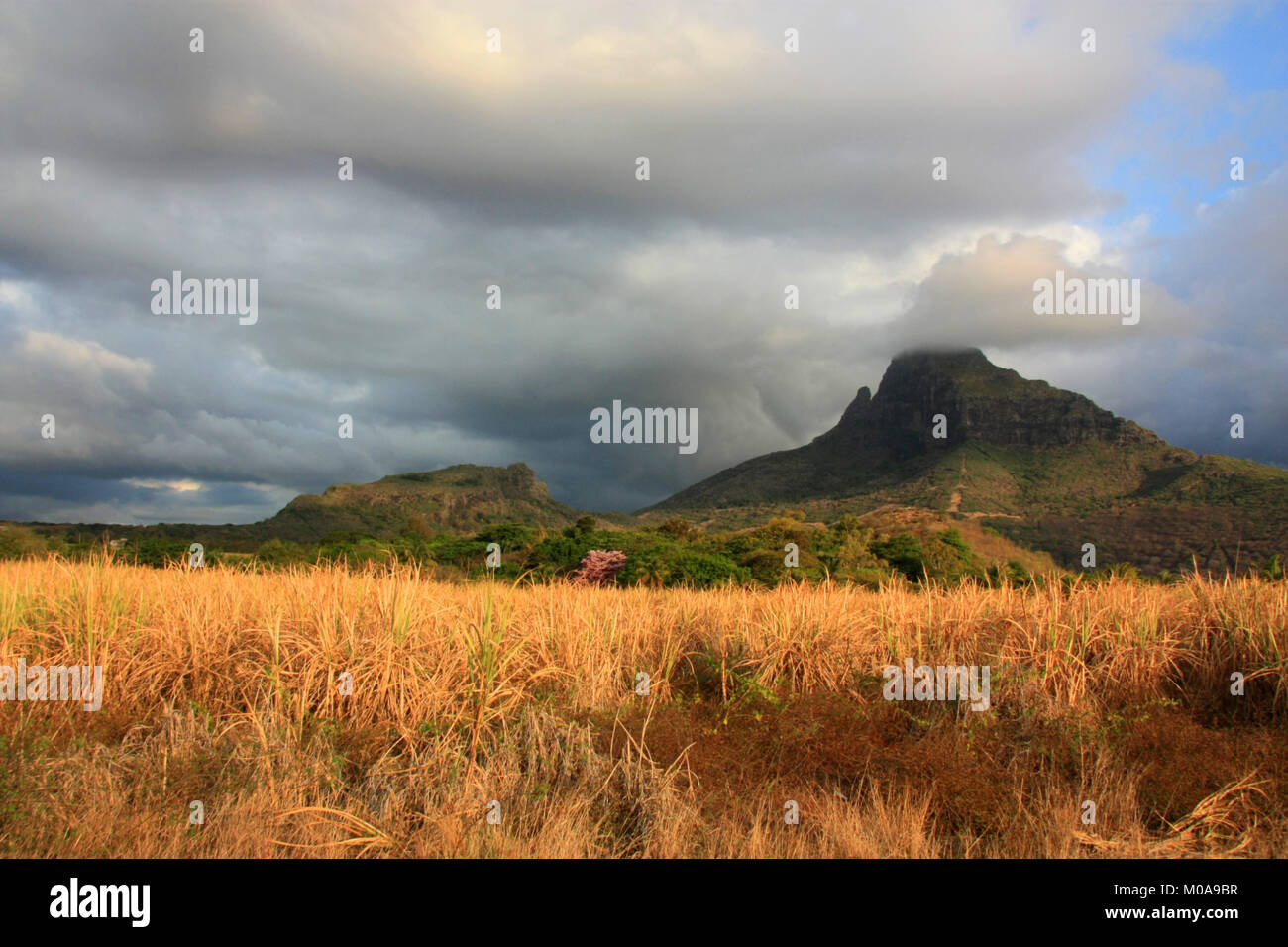 Mauritius, landscape field, mountains, clouds. The amazing nature of ...