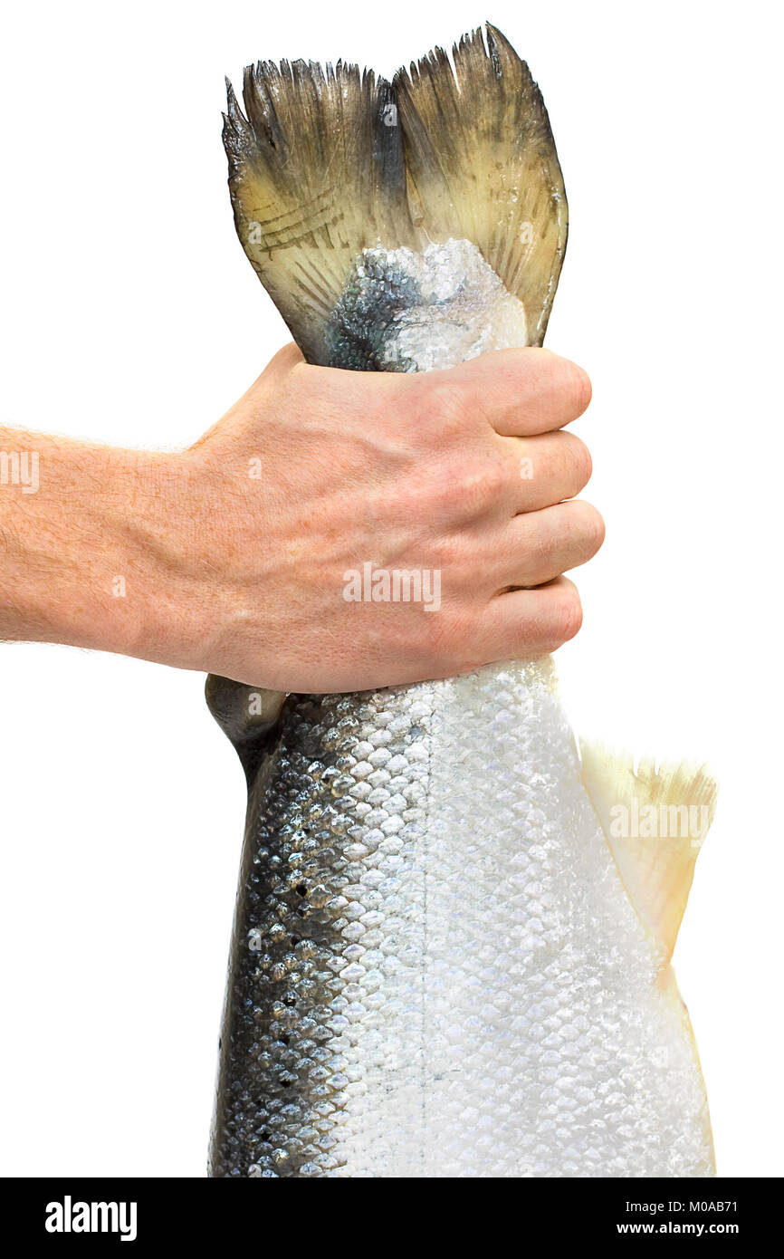 Lucky fisherman caught the fish by the tail Stock Photo - Alamy