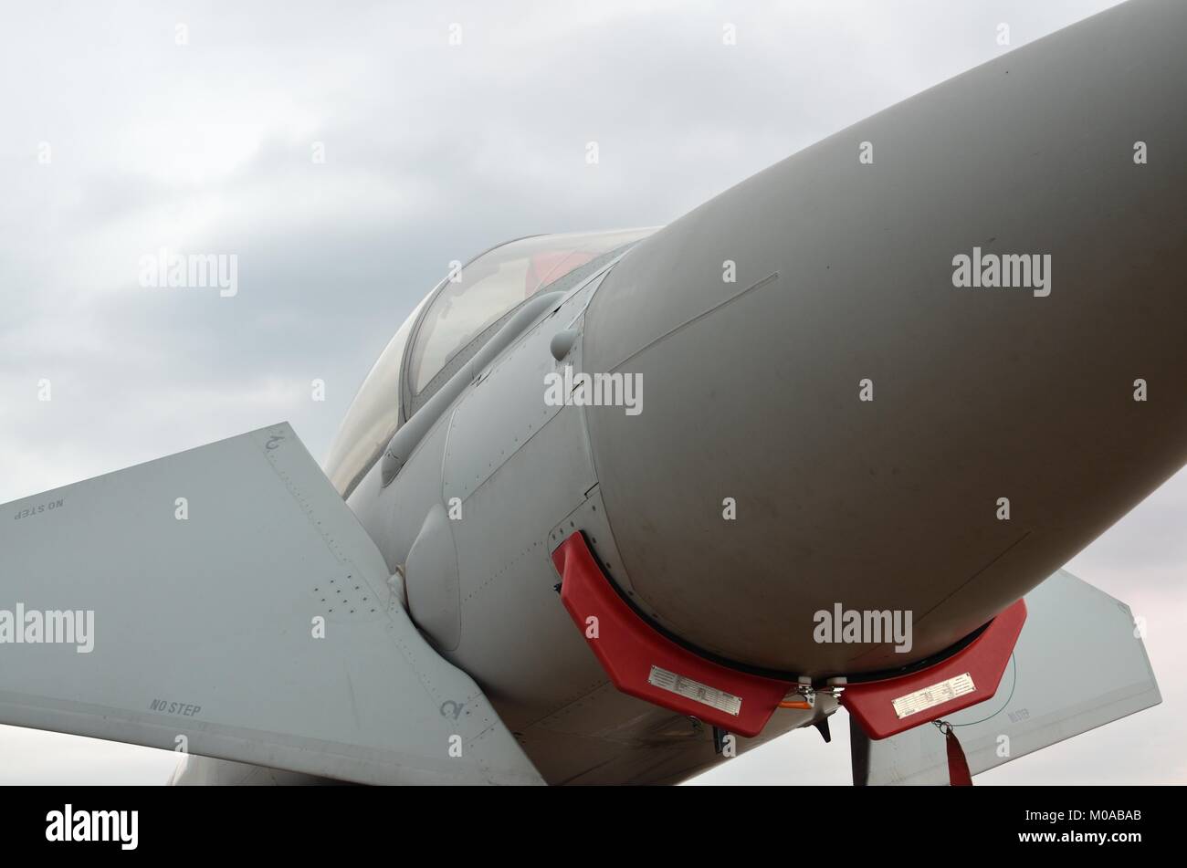 RAF Typhoon T.1 nose and canard details Stock Photo - Alamy