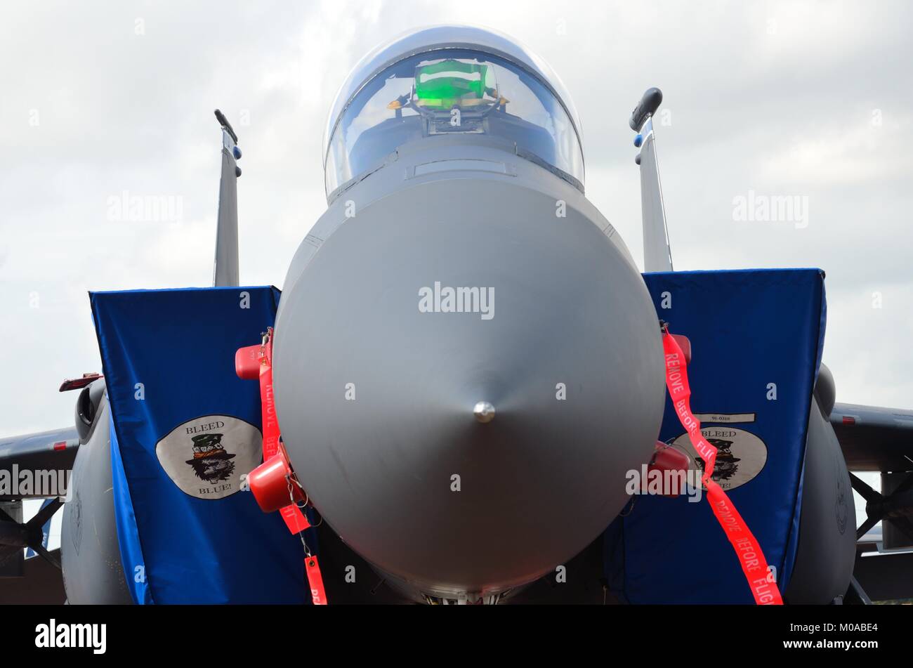 McDonnell Douglas F-15E Strike Eagle, 48th FW/492nd FS, USAF Stock ...