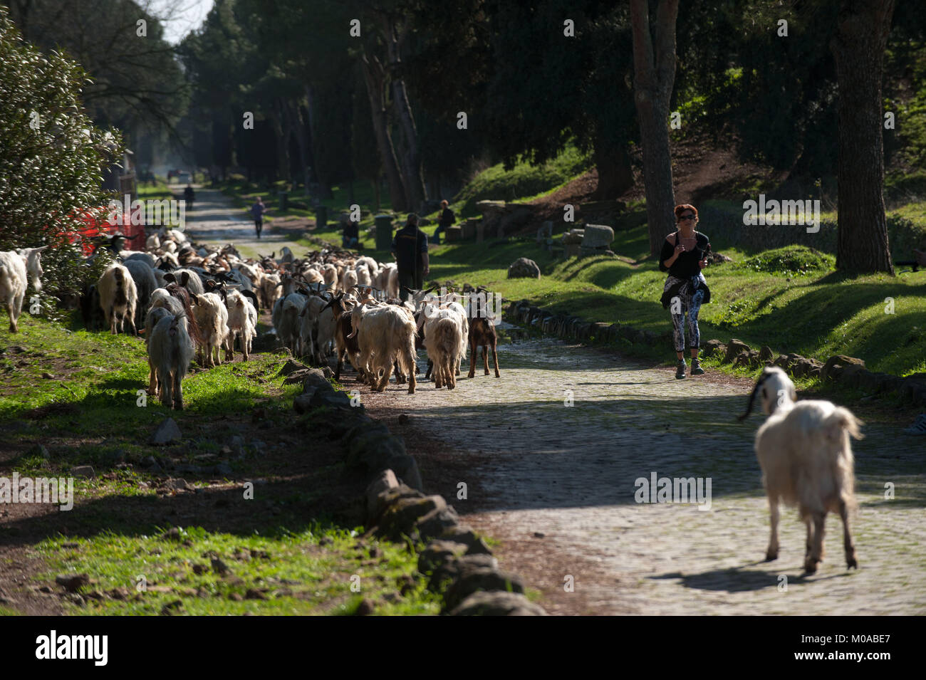 Woman with goats hi-res stock photography and images - Alamy