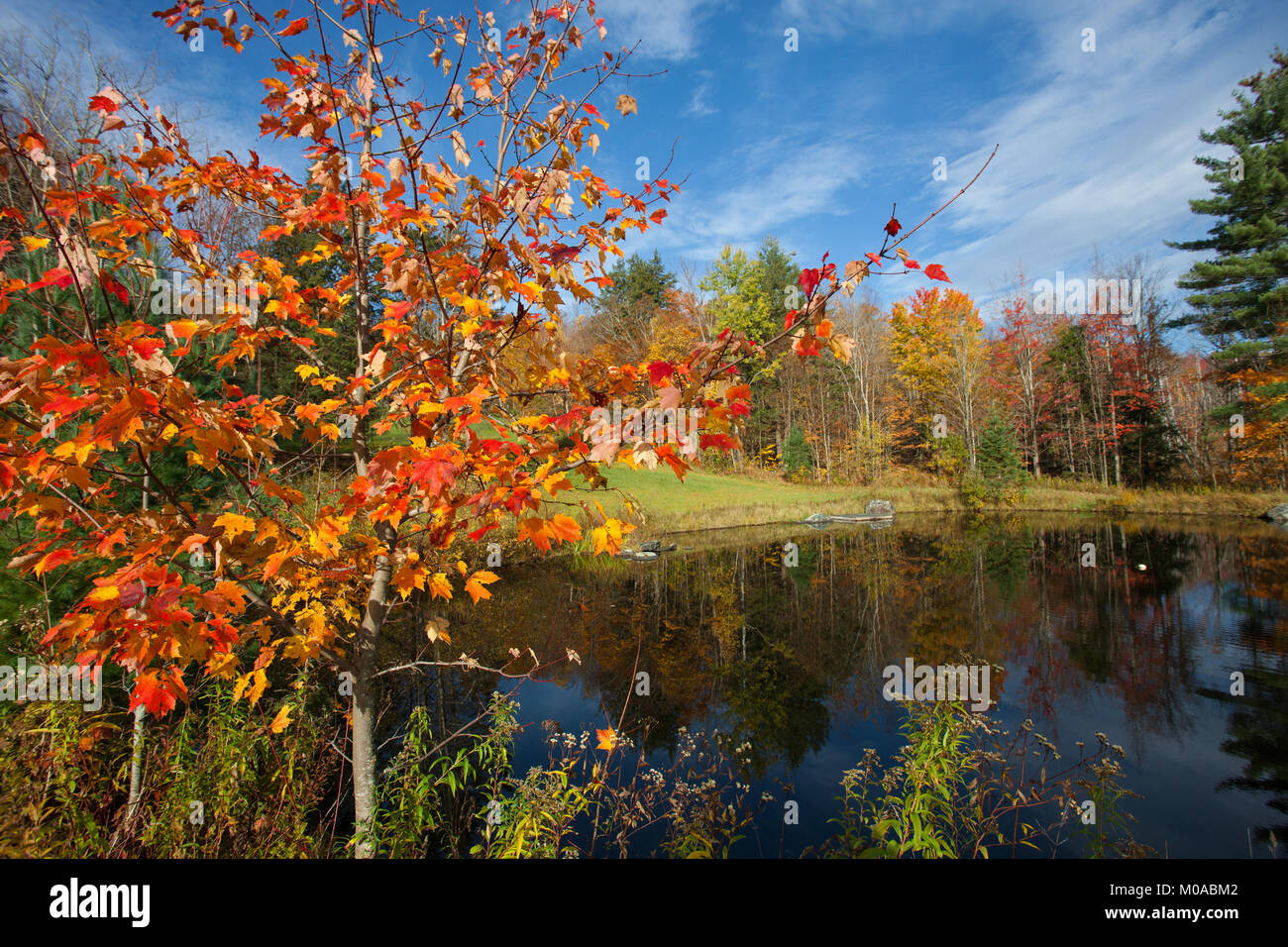 Fall Colors in Vermont Stock Photo - Alamy