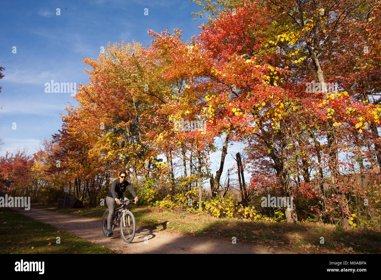 Female bike rider on a beautiful path with Fall colors Stock Photo - Alamy