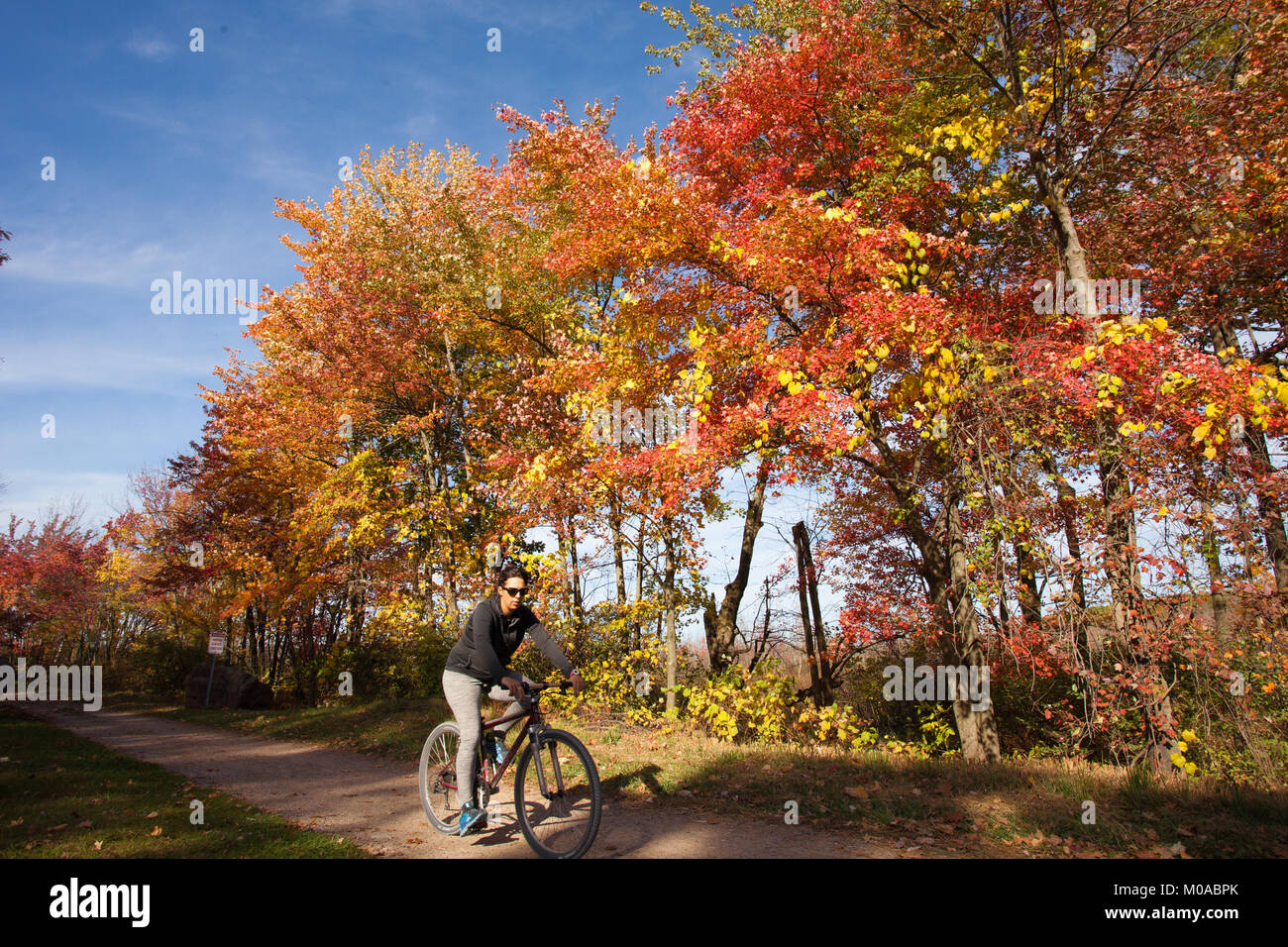 Female bike rider hi-res stock photography and images - Alamy