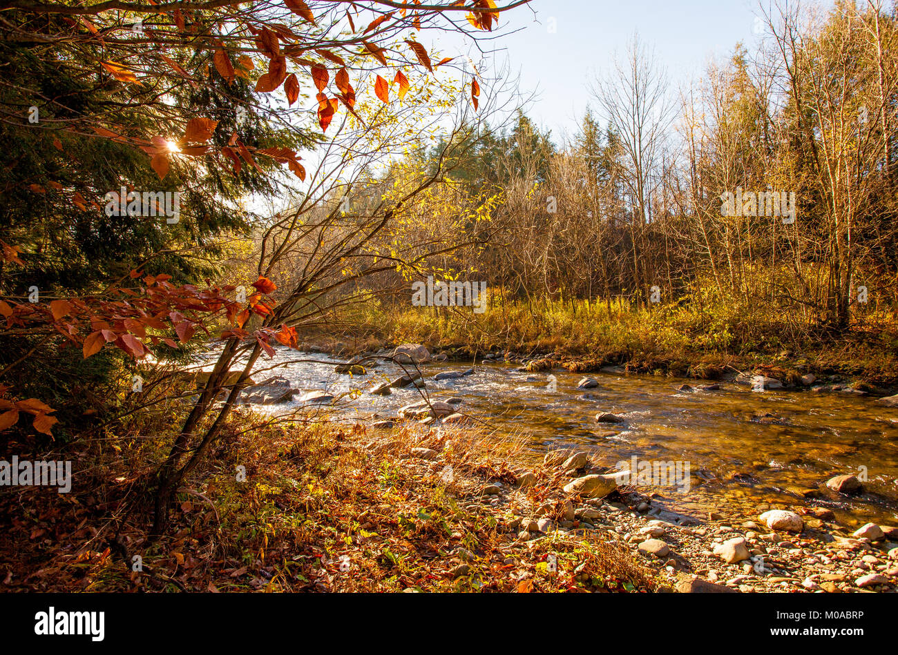 Fall vermont river landscape Stock Photo - Alamy