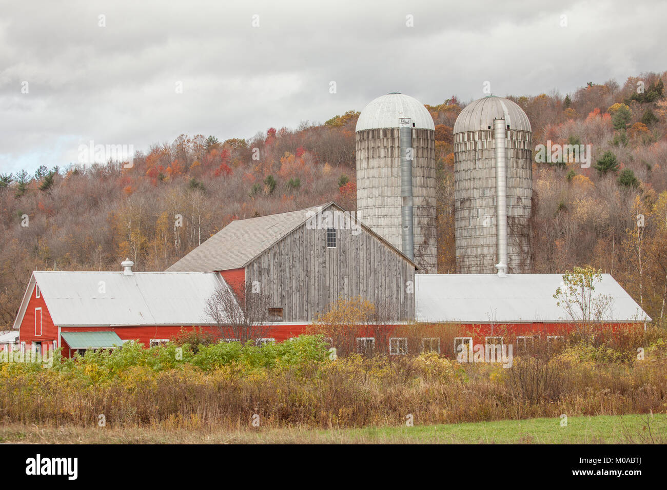 Vermont Barn in Fall Colors Stock Photo - Alamy