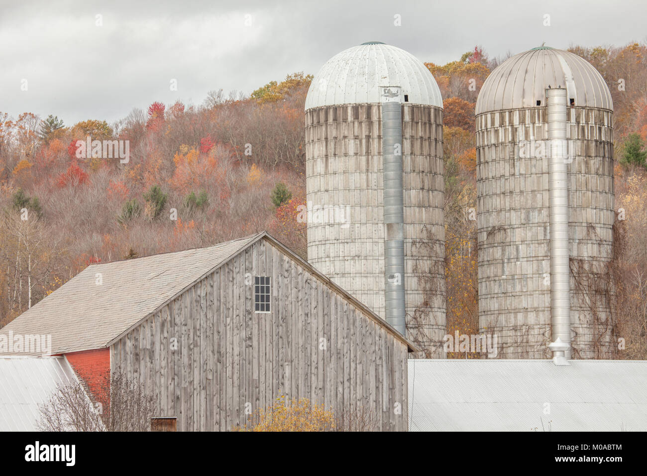 Vermont Barn in Fall Colors Stock Photo - Alamy