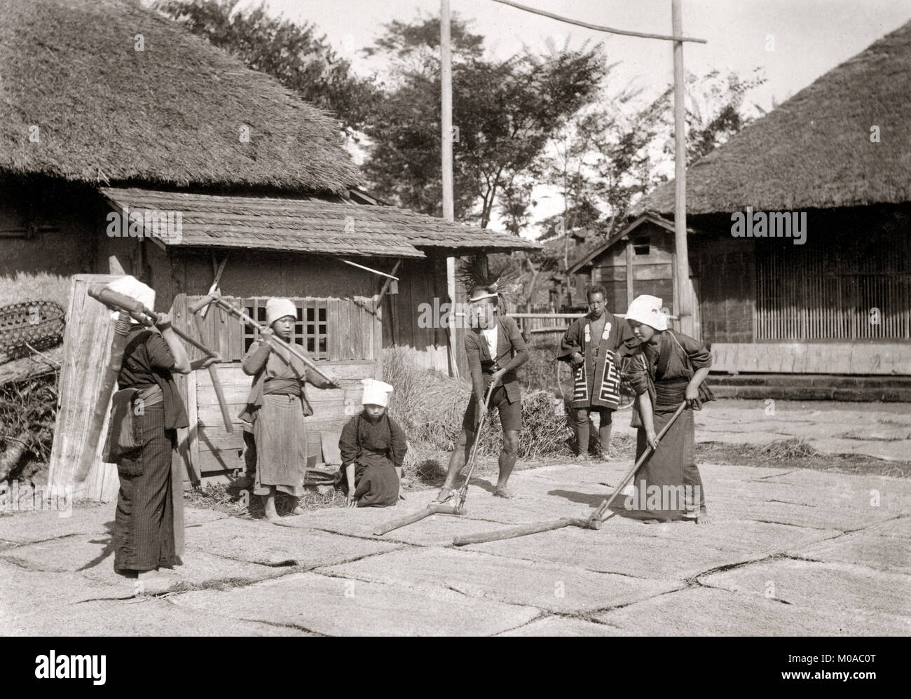 Rice flails hi-res stock photography and images - Alamy