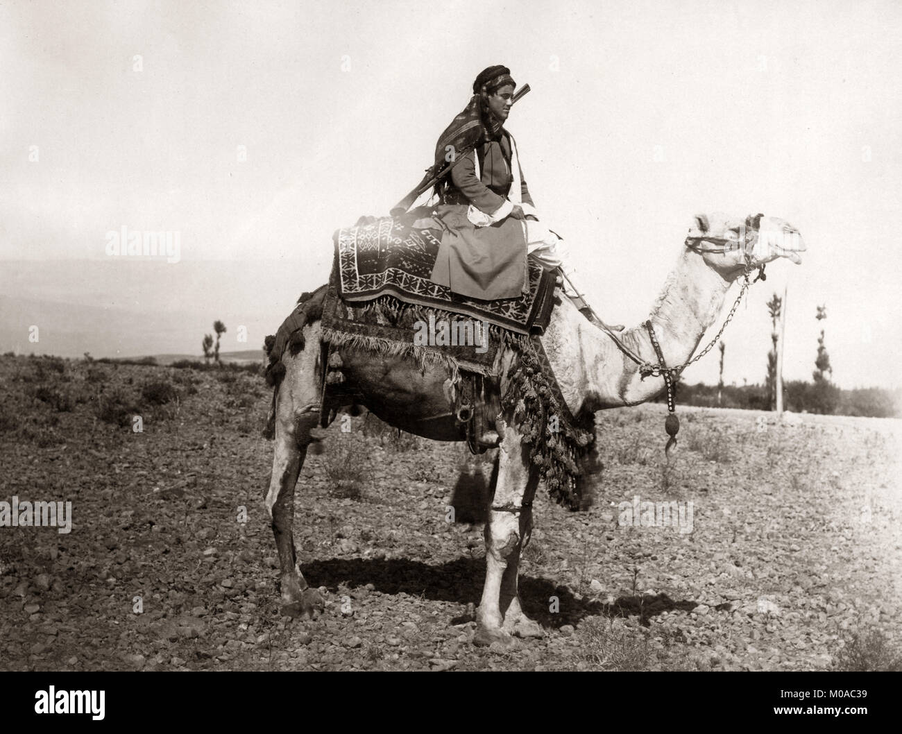 Historical man on camel hi-res stock photography and images - Alamy