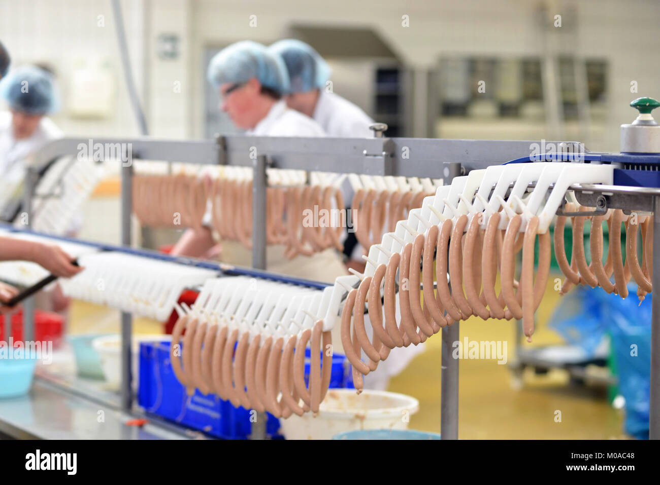 Workers in the production of original German bratwurst in a large meat ...