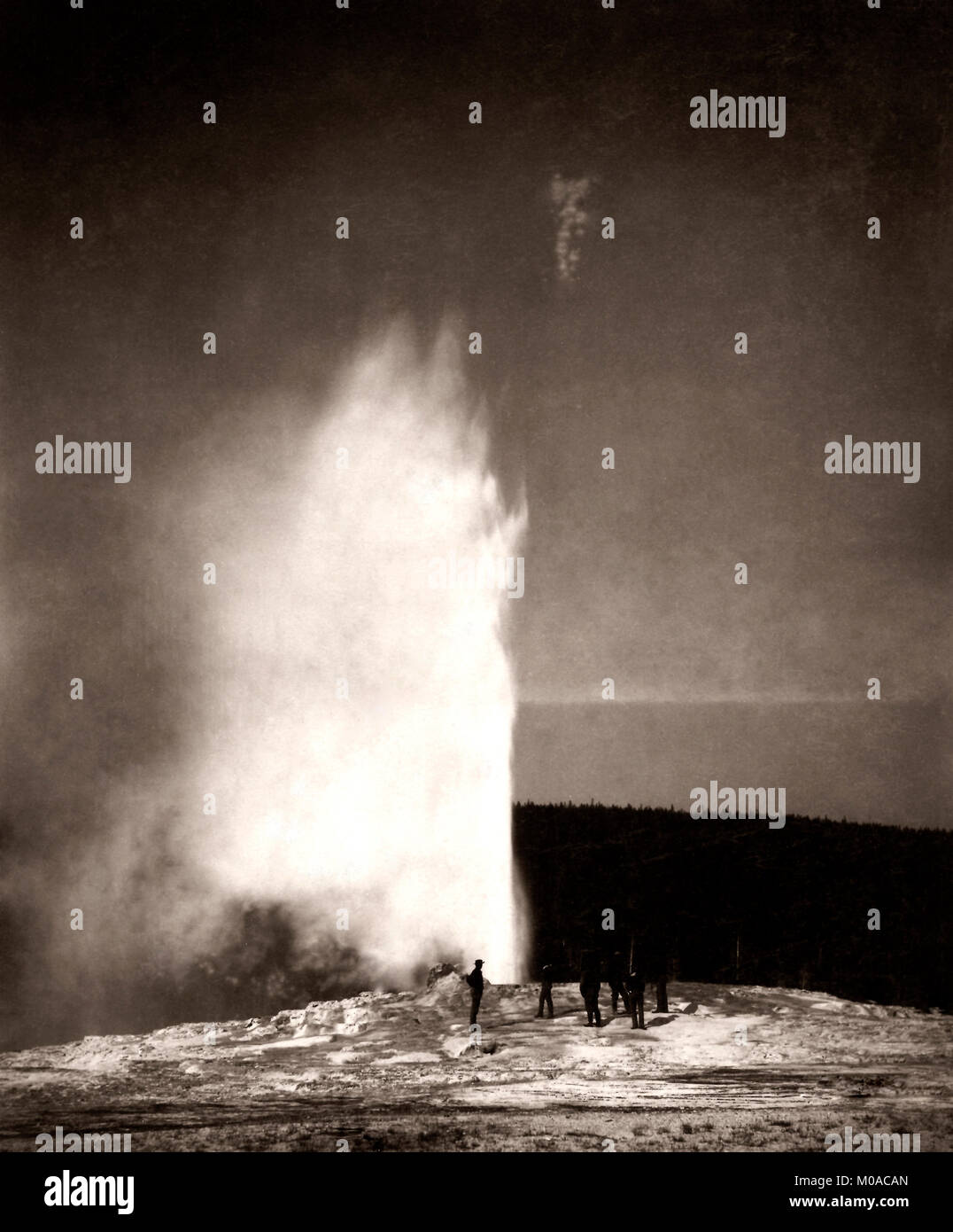 Old Faithful, cone geyser, Yellowstone National Park, Wyoming USA Stock ...