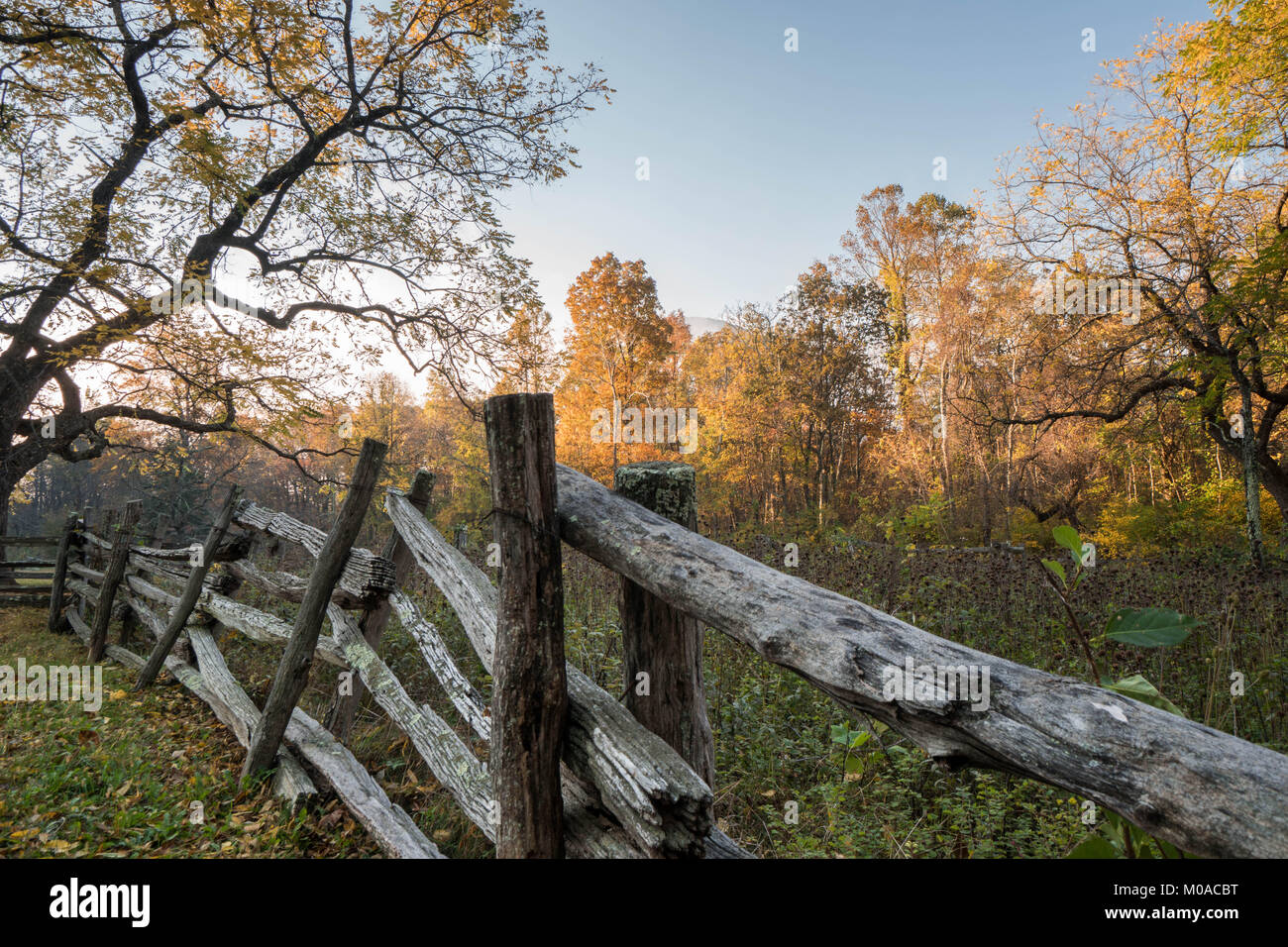 Appalachian mountain landscape with forest in fall colors and wooden ...