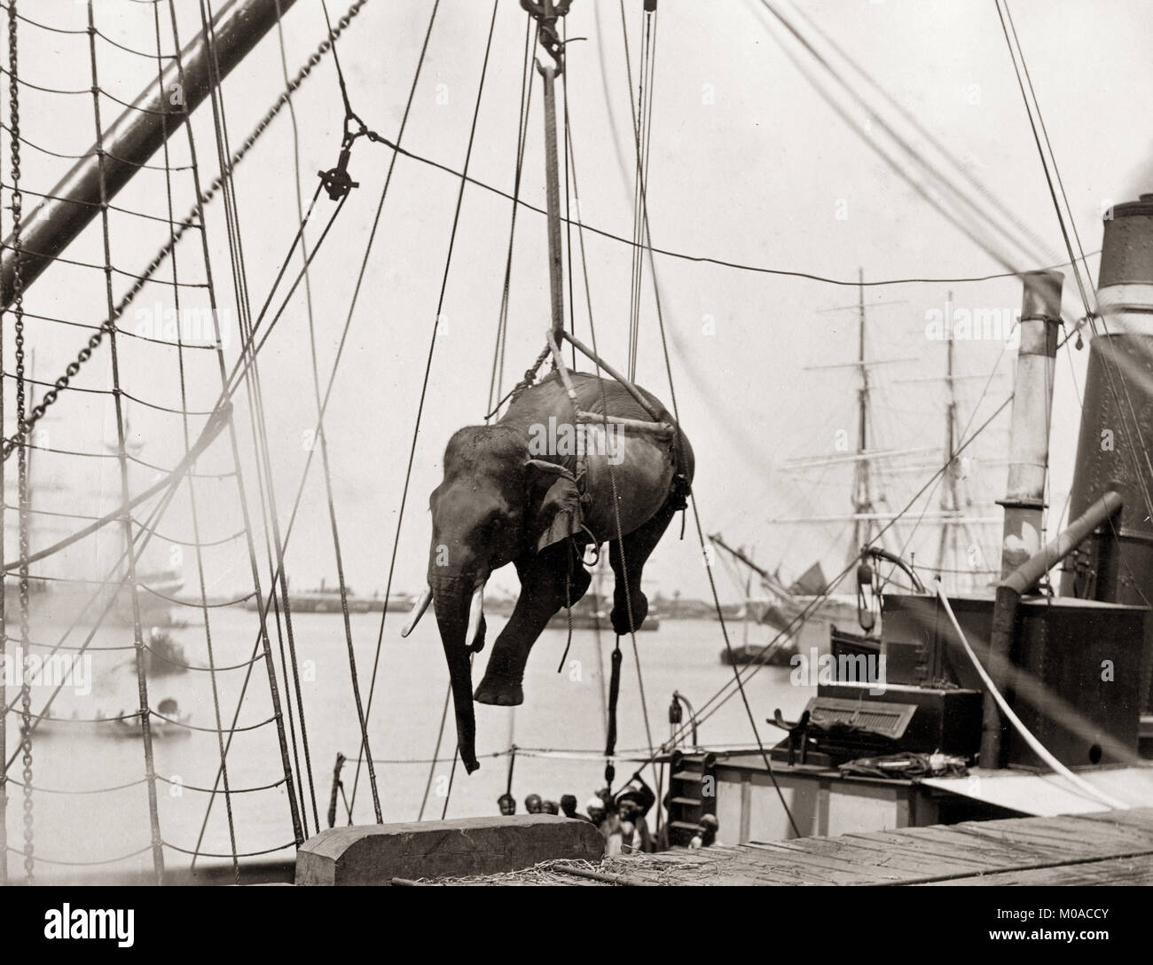 Crane elephant ship hi-res stock photography and images - Alamy