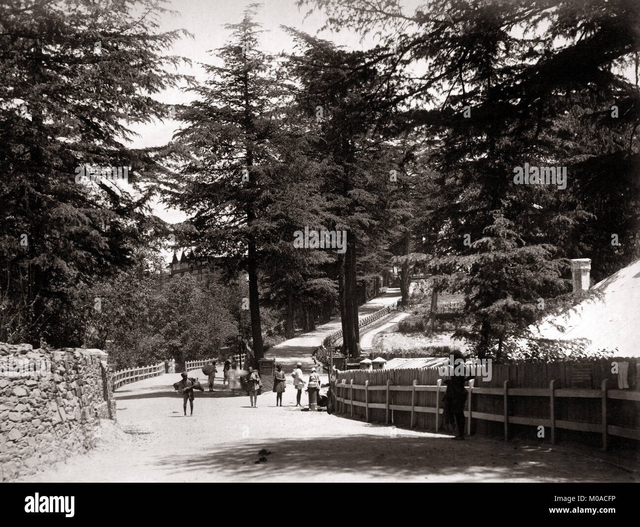 View of The Mall, Simla, Shimla, India, c.1860's Stock Photo - Alamy