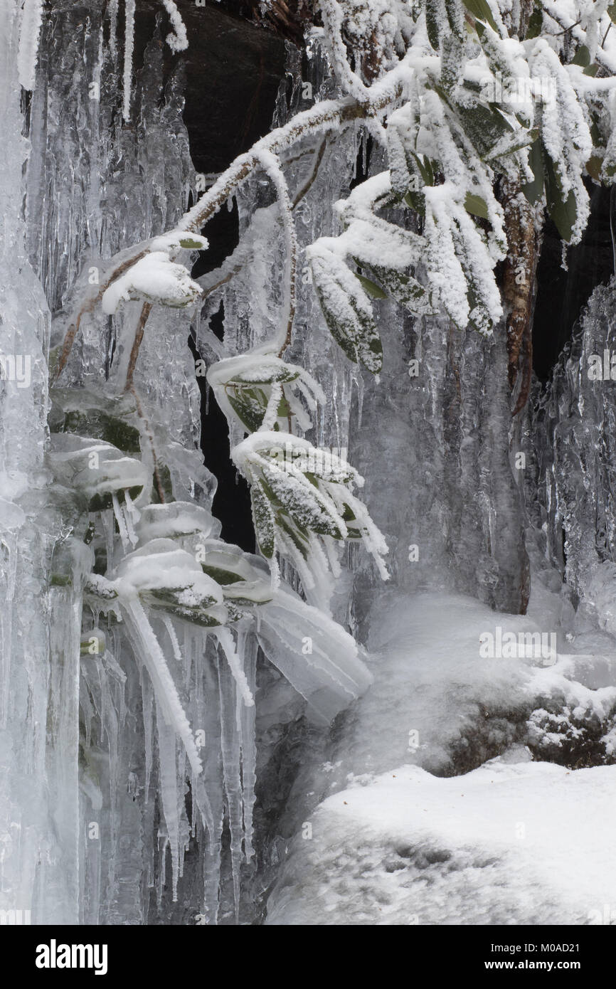 Cold water creek hi-res stock photography and images - Alamy