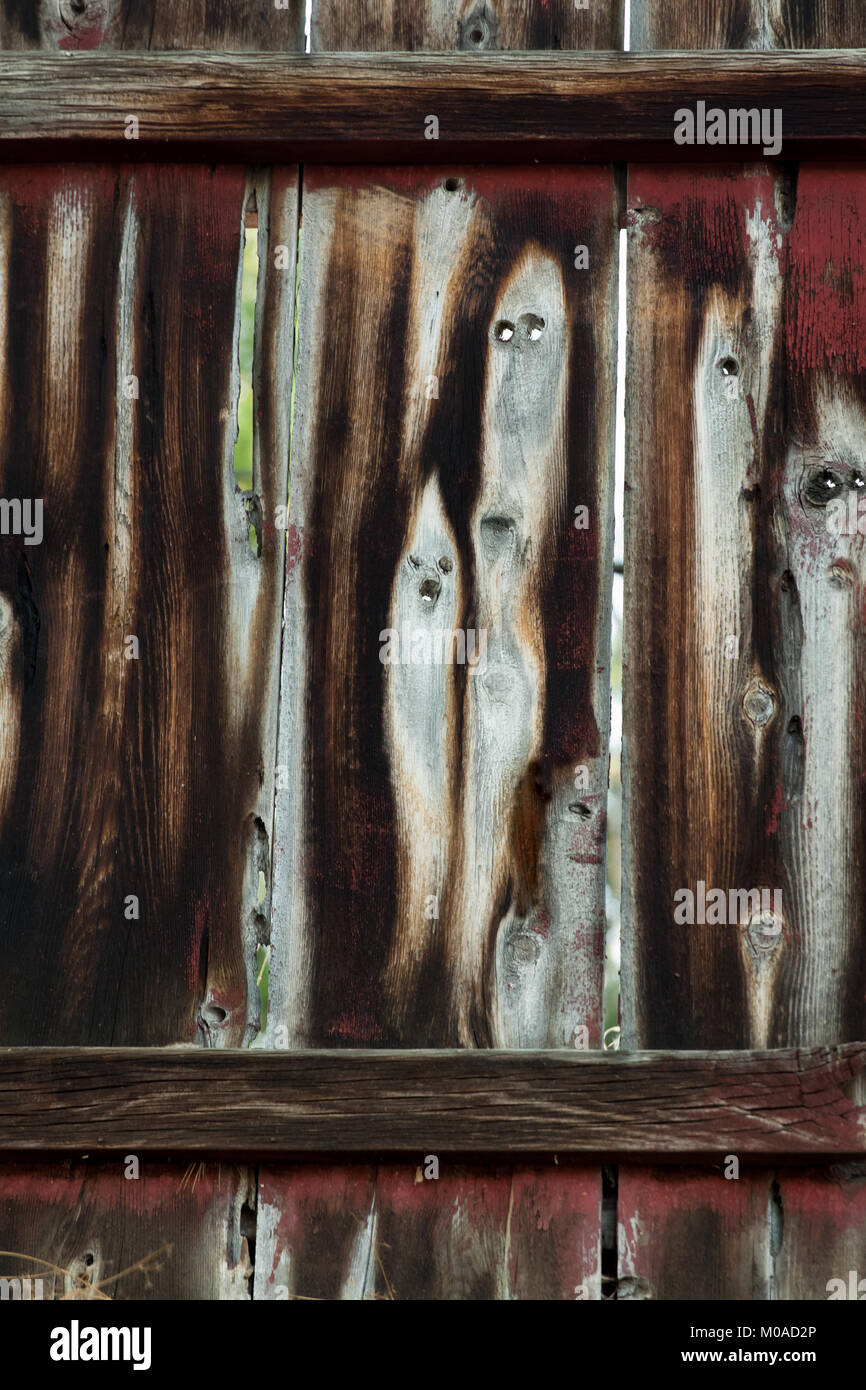 Ghosts in the Wooden Fence Stock Photo - Alamy