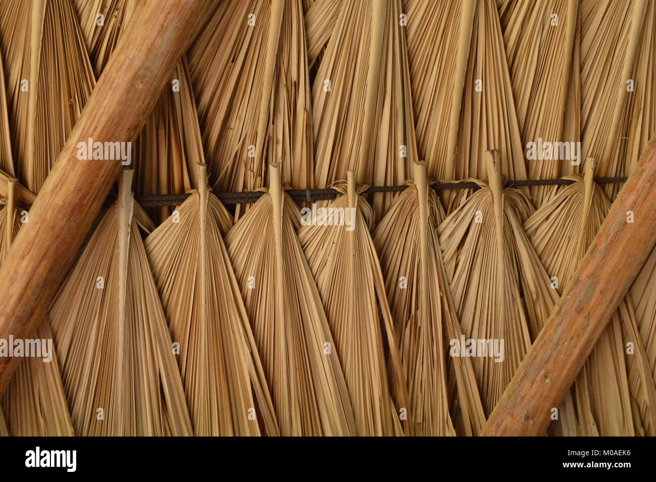 Interior view of palm roof in kind of hut called churuata Stock Photo ...