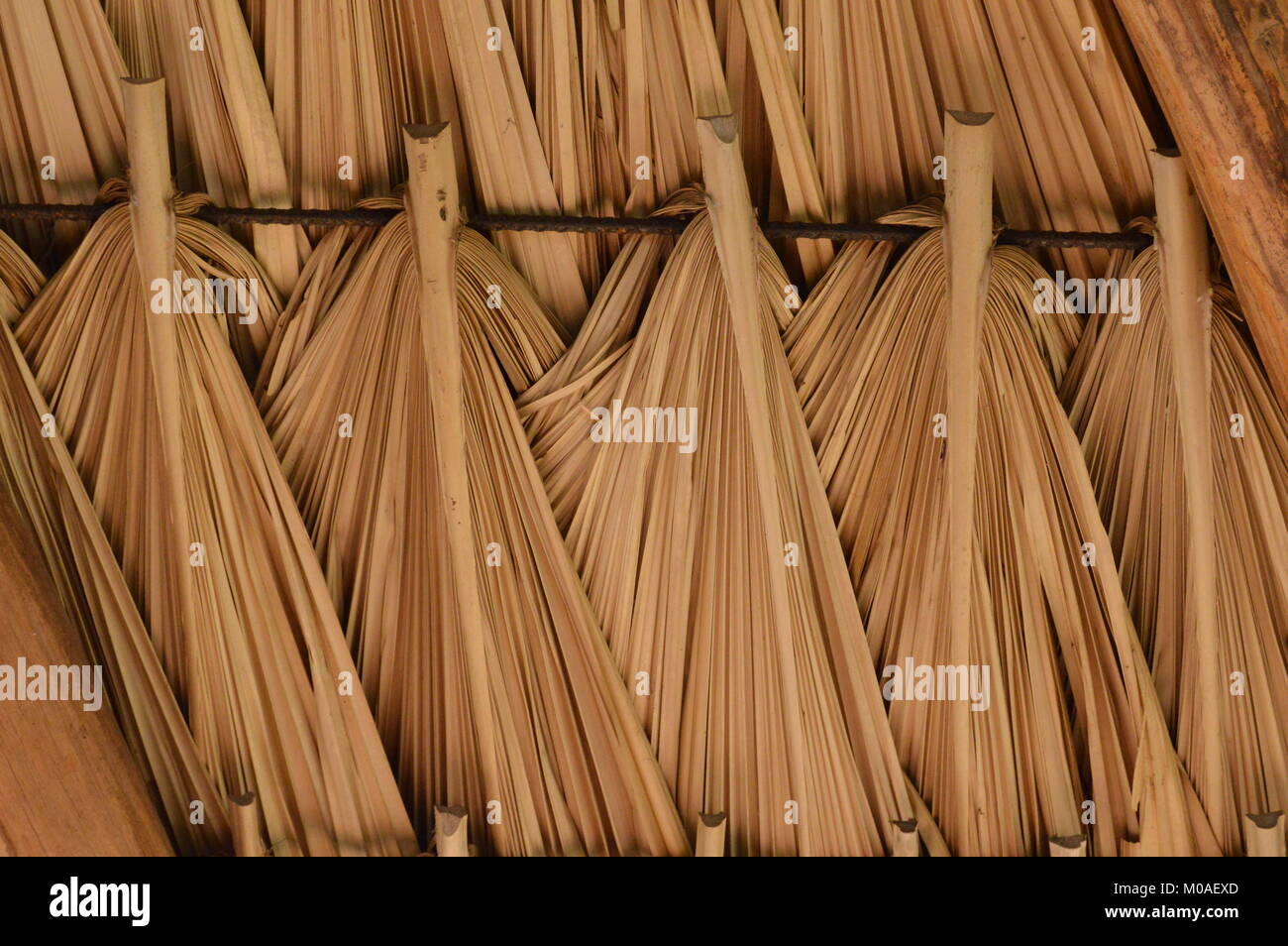 Interior view of palm ceiling in kind of hut called churuata Stock ...