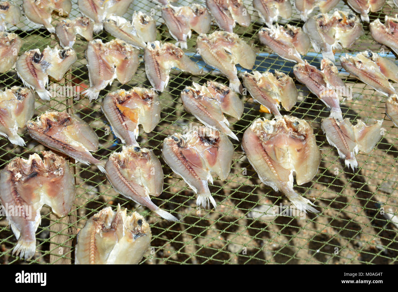 patterns of dried fish background Stock Photo - Alamy