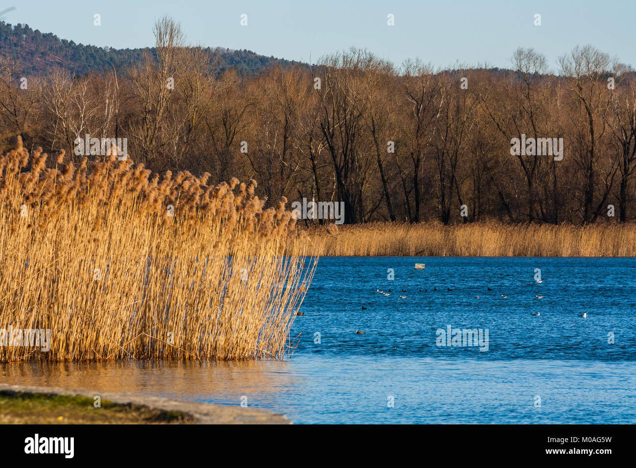 Angera, Varese, Lombardia, Italy Stock Photo - Alamy