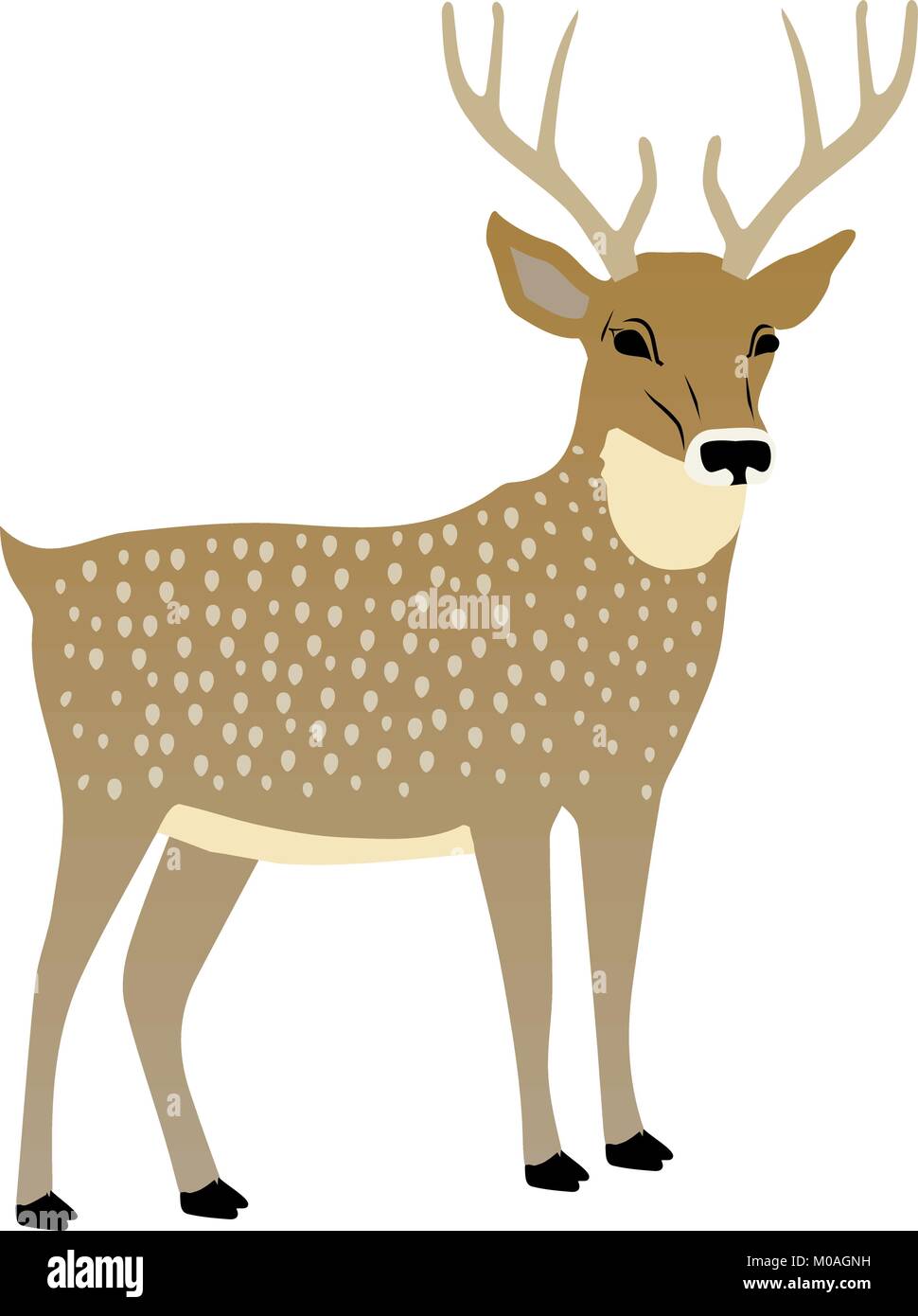 Vector illustration of a cute deer Stock Vector Image & Art - Alamy