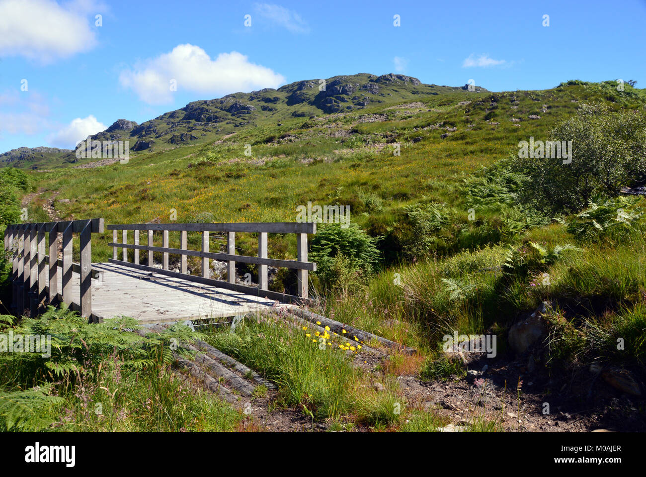 Scottish mountain trossachs hi-res stock photography and images - Alamy
