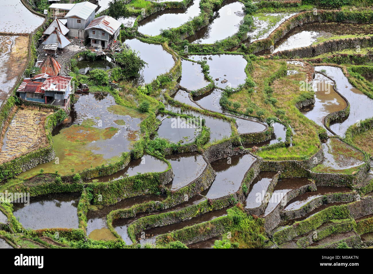 The Batad village cluster-part of the Rice Terraces of the Philippine ...