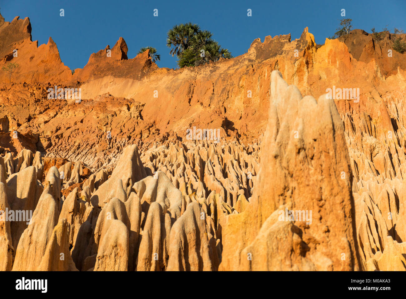 Abstract geological formation in Red Tsingy Madagascar Stock Photo - Alamy