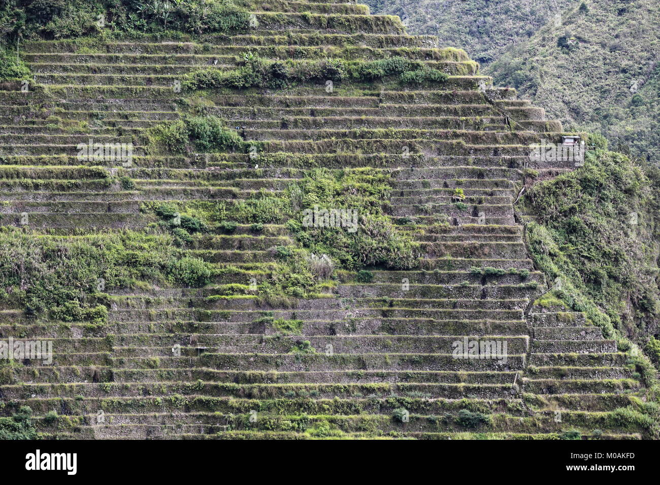 The Batad village cluster-part of the Rice Terraces of the Philippine ...
