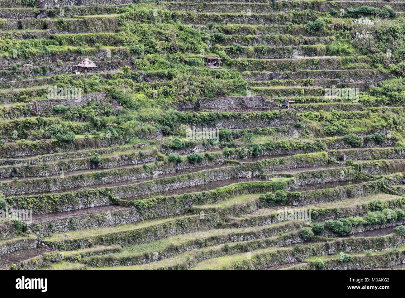 The Batad village cluster-part of the Rice Terraces of the Philippine ...