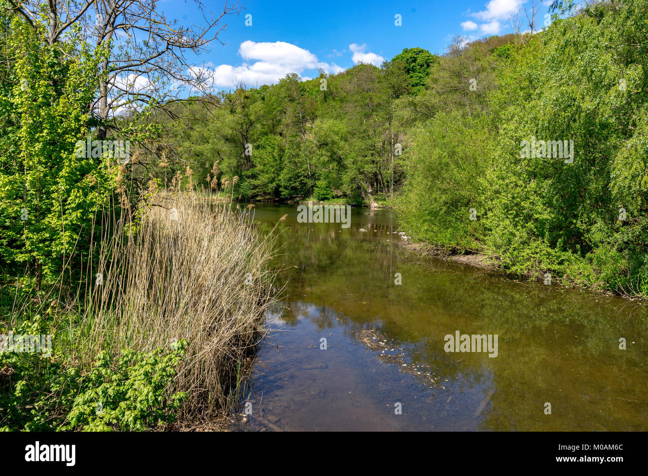 Salt production and air improvement. Europe's largest open air salt ...