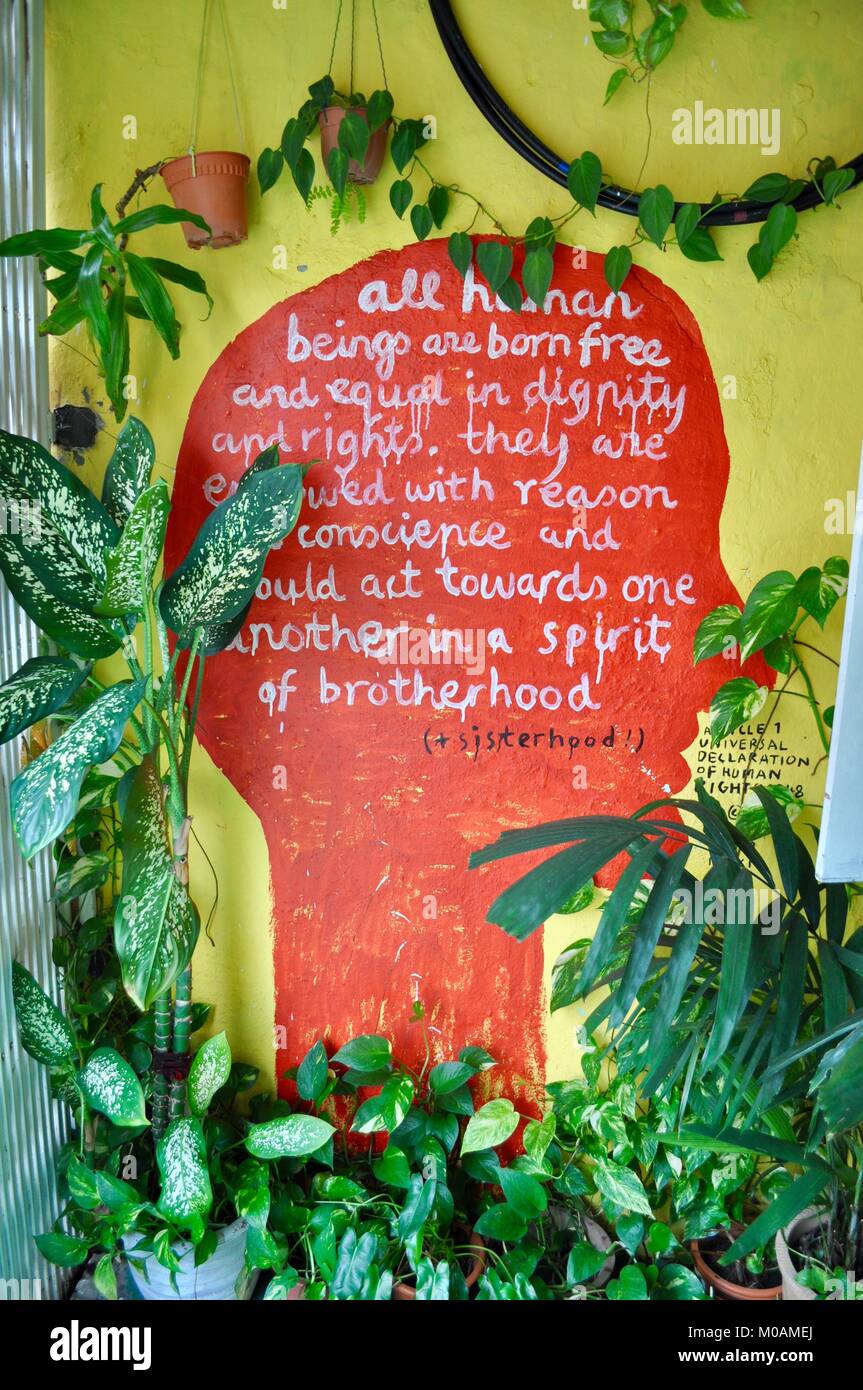 Universal Declaration Of Human Rights Article 1